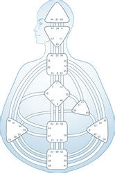 Human Design Bodygraph Chart Royalty Free Vector Image