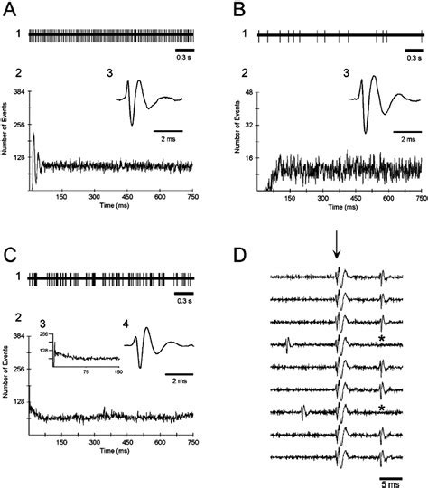 Extracellular Recordings Of A Neuron With Regular Firing A Cell 7