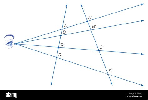 Collinearity Definition