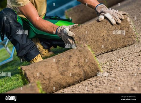 Residential Backyard Garden Natural Turf Grass Installation Performed