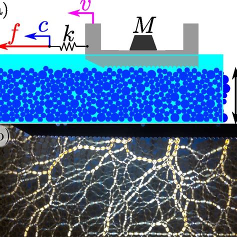 Color Online A Sketch Of The Experiment From The Side A Slider Is Download Scientific