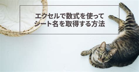 エクセルで数式を使ってシート名を取得する方法【excel】 ネコの耳に念仏