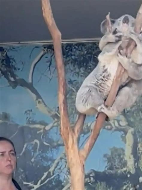 100 Männer an EINEM Tag Model plant Sex Marathon als Dankeschön für ihre Fans