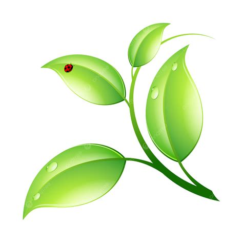標誌生態概念自然 树 降低 環境的PNG去背圖片素材免費下載免摳圖設計圖案下載 Pngtree