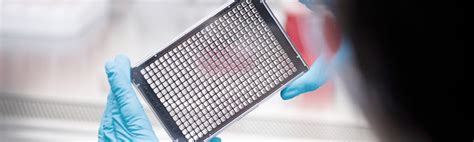 Life Sciences Construction Benchmarks And Trends 2024 Cbre