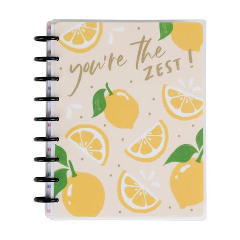 Happy Planner 2023 Daily Diary And Calendar 18 Month Daily Desertcart Ksa