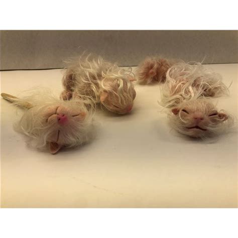 Brand New Cherry Flavor Animatronic Kitten Kitten Heads Folding