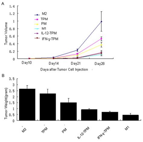 Macrophage Functional Phenotype Can Be Consecutively And Reversibly