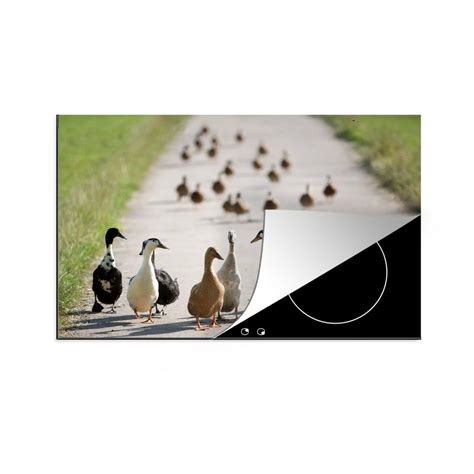 Muchowow Herdblende Abdeckplatte Ente Straße Tiere Vinyl 1 Tlg