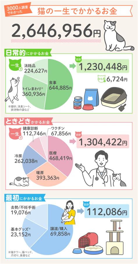 3つの項目に分けて一生にかかるお金を調査！randc「猫にかかる費用」