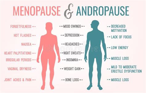 Menopause Stock Illustrations 3 334 Menopause Stock Illustrations