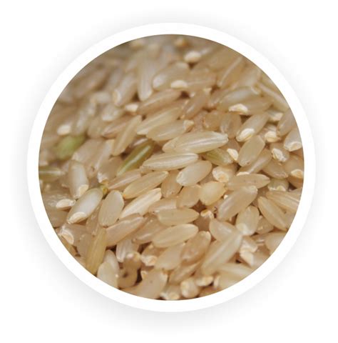 Organic Rice Nature Bio Foods
