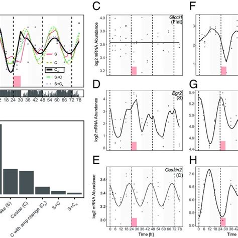 Modeling Temporal Transcriptome Dynamics A Example Of Model Fitting