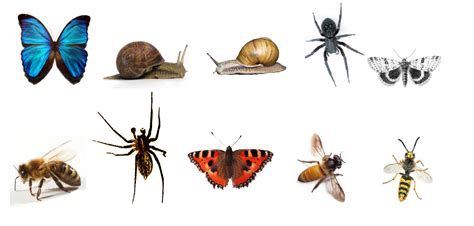 how machines make sense of big data an introduction to clustering