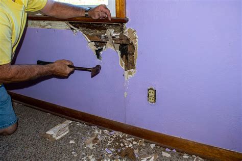 How To Repair Termite Damage Expert Tips For Restoration