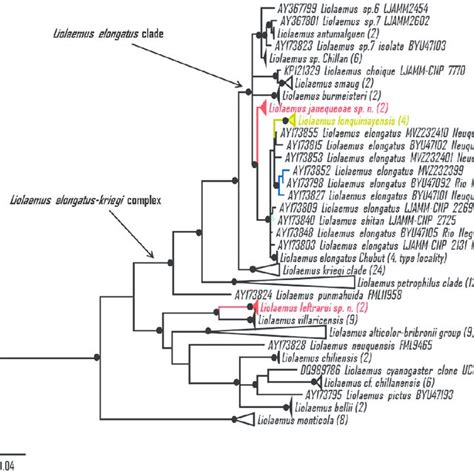 Bayesian Inference Of Phylogeny Bi Tree Based On Cyt B Showing Download Scientific Diagram