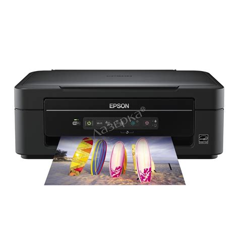 Картриджи для принтера Epson Stylus SX130 оригинальные и совместимые ...