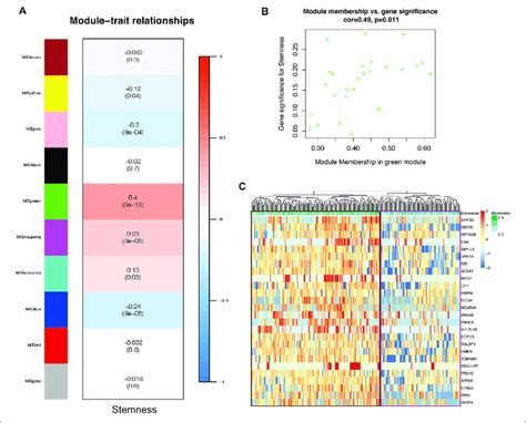 The Csc Gene Network Module Was Identified By Wgcn A A Heatmap