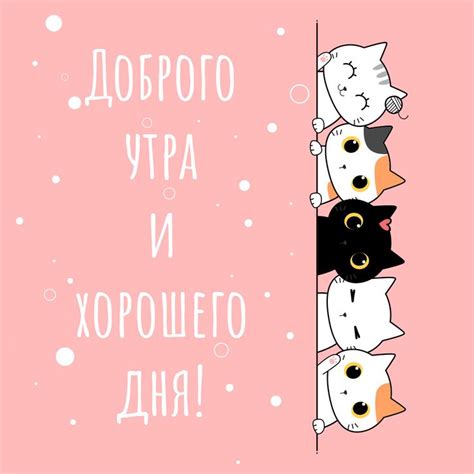 Милые котики картинки доброе утро хорошего дня инстапик Котята