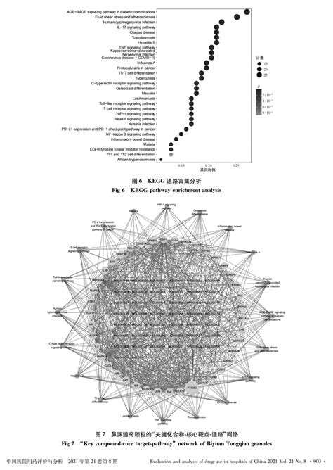 基于网络药理学和分子对接技术探讨鼻渊通窍颗粒治疗鼻炎的作用机制 Evaluation And Analysis Of Medication In Chinese Hospitals