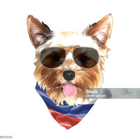 요크셔 테리어 초상화 안경과 러시아 국기 두건에 귀여운 멋진 개 벡터 일러스트 레이 션 T 셔츠에 대한 스톡 벡터 아트 및 기타 이미지 T 셔츠 강아지 개 강아지