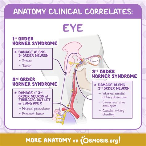 Osmosis From Elsevier On Twitter Did You Know There S An Odd