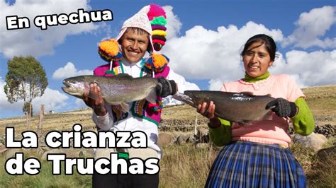 La Crianza De Truchas YouTube