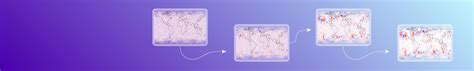 Data Driven Ensemble Forecasting With The Aifs Ecmwf