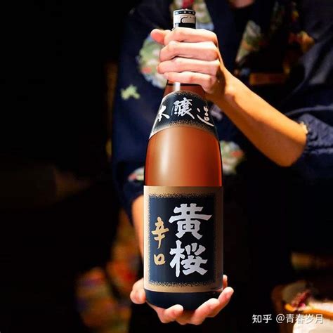 聊聊黄樱辛口本酿造清酒 知乎