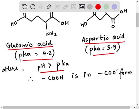 Solved Negatively Charged Aspartic Acid Side Chain And A Positively