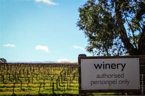 13 Things To Do In Barossa Valley South Australia 2024 Guide