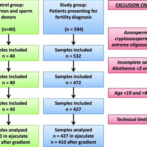 Flow Diagram Illustrating The Inclusion And Exclusion Criteria