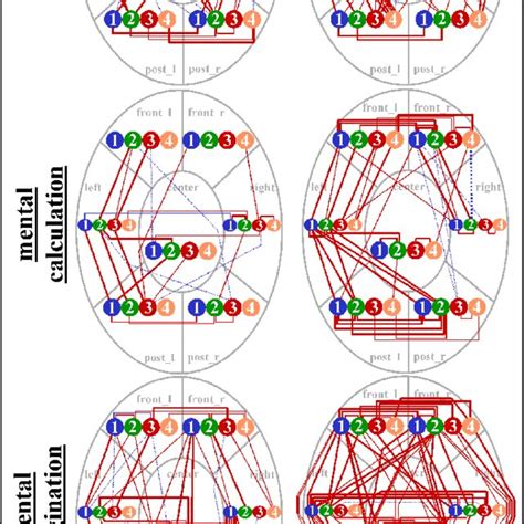 Schematic Illustration For The Significant Correlations Between The
