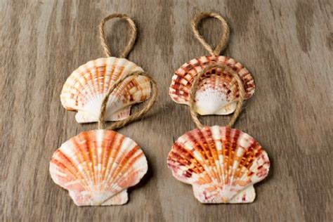 Seashell Christmas Ornaments Ideas