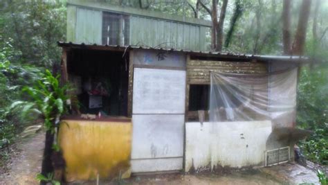 110327五寮尖縱走石門水庫 因雨去頭行 P1090783
