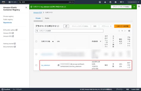 Aws Lambda で Selenium を利用したブラウザ自動化 Python312版 株式会社tks2