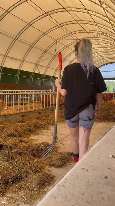 Rolnictwo Rolniczka Beefcattle Farmergirl Youtube