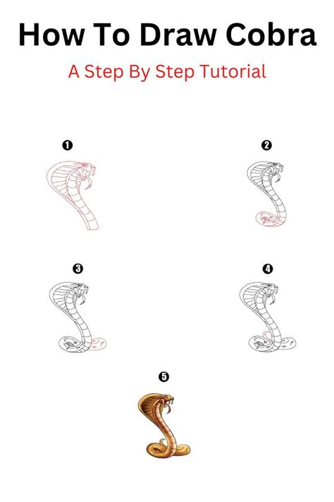 Cobra Drawing Step By Step Tutorial Artofit