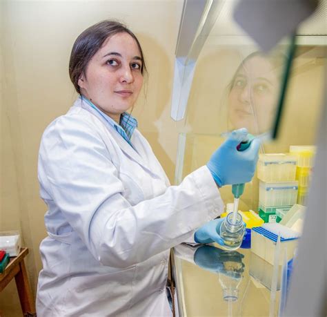 Обработка золотом сделала листья пшеницы сахарнее и устойчивее к
