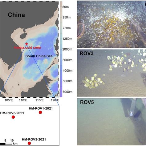 Location Of Sampling Sites And Characters Of Habitats Samples Were