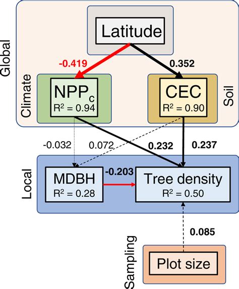 Global And Local Determinants Of Tree Density Results Of The Structural