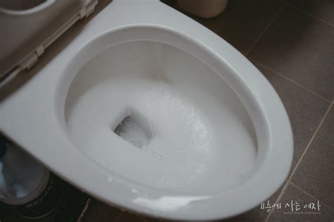 디에스 과탄산소다로 화장실 청소 천연세제라 안심 네이버 블로그