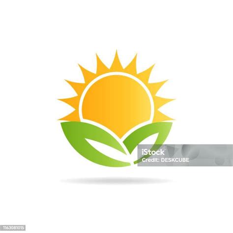 Мощное Солнце С Листьями Логотип Вектор — стоковая векторная графика и