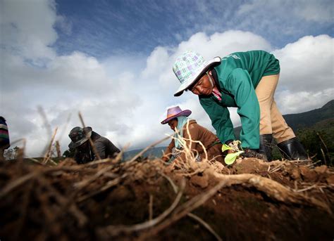 Bangkok Post Fix Needed For High Altitude Farming