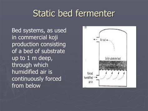 Ppt Solid State Fermentation Powerpoint Presentation Free Download
