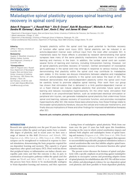 Maladaptive Plasticity Pdf Long Term Potentiation Synaptic Plasticity