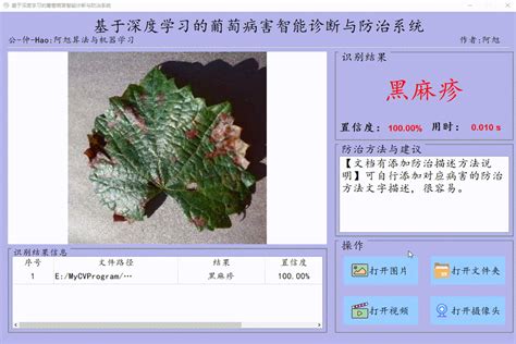 基于yolov8深度学习的葡萄病害智能诊断与防治系统【python源码pyqt5界面数据集训练代码】深度学习实战 Csdn博客