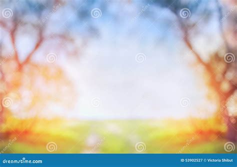 Blurred Spring Or Autumn Nature Background With Green Sunny Field And
