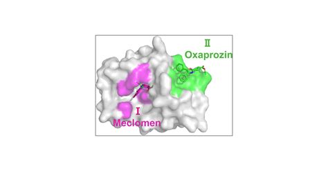 Two Binding Sites Of Sars Cov 2 Macrodomain 3 Probed By Oxaprozin And Meclomen Journal Of