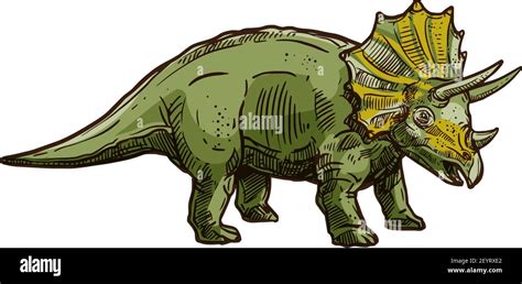 Triceratops Horridus Fossil Stock Vector Images Alamy